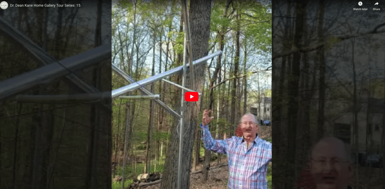 Learn About Dr. Dean Kane as an Artist